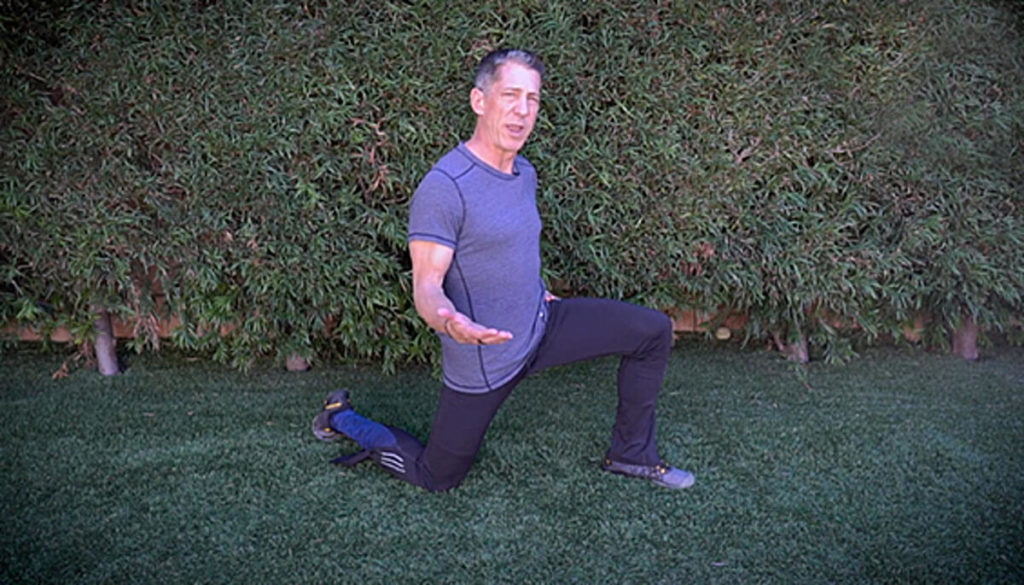 Whole-Body Mobility Flow Video Series - Whole Life Challenge